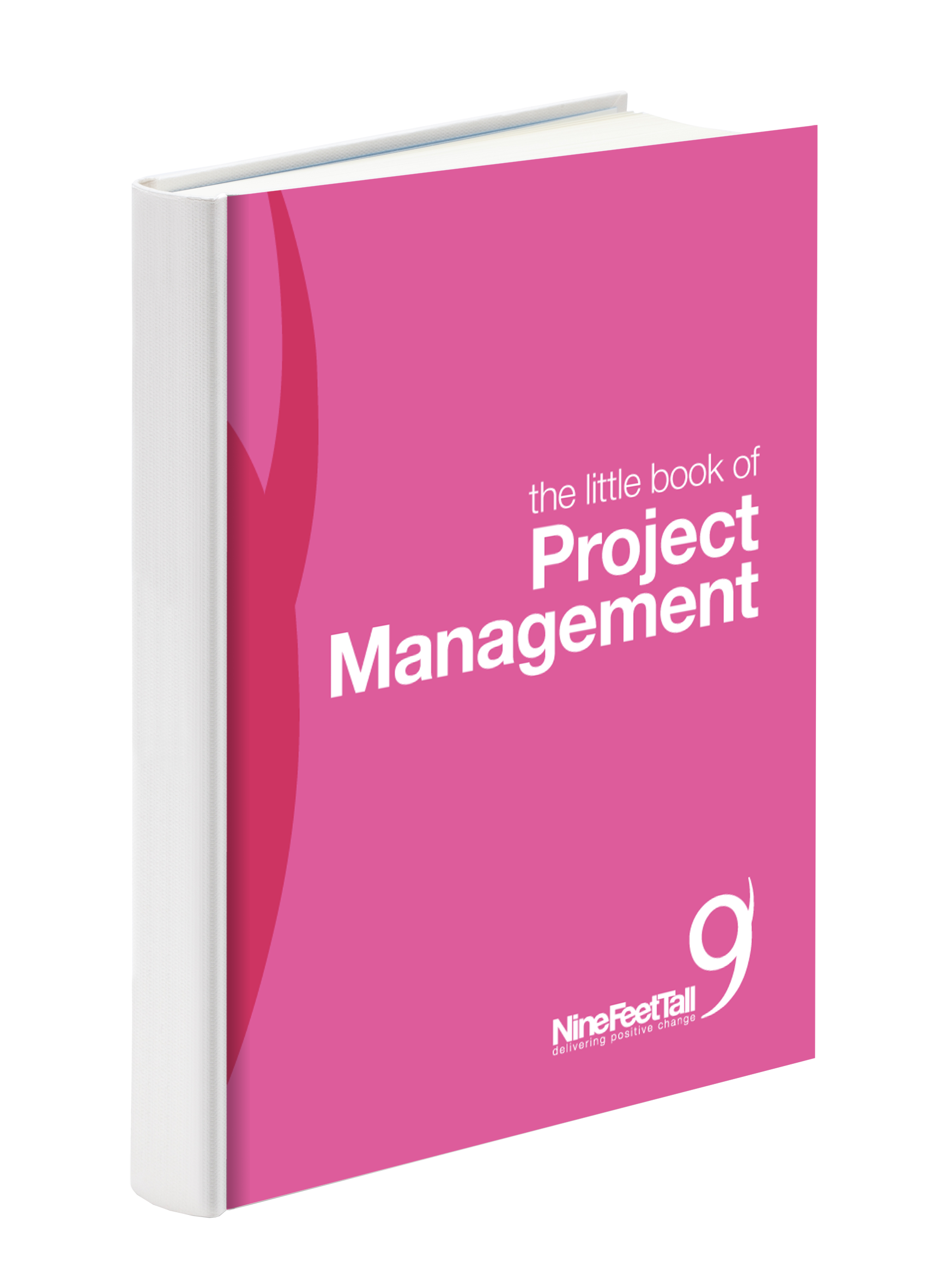 Little book of project management