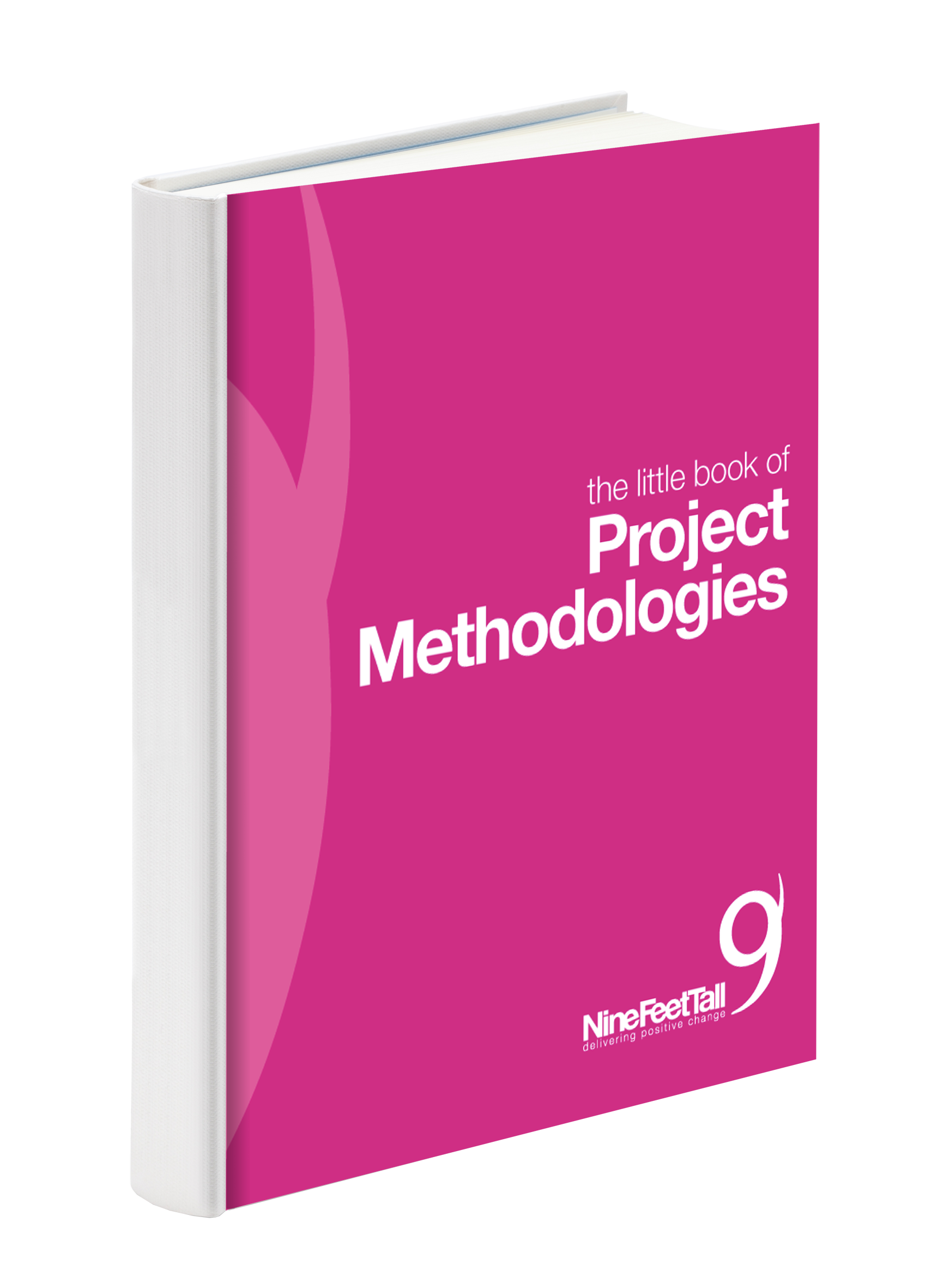 Little book of Project Methodologies